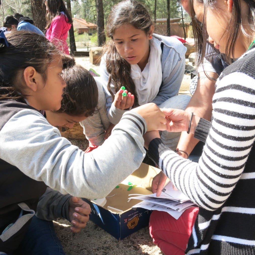 Classes at Science Camp | Pathfinder Ranch
