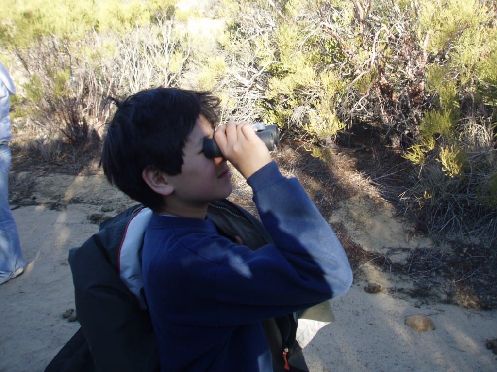 Classes at Science Camp | Pathfinder Ranch