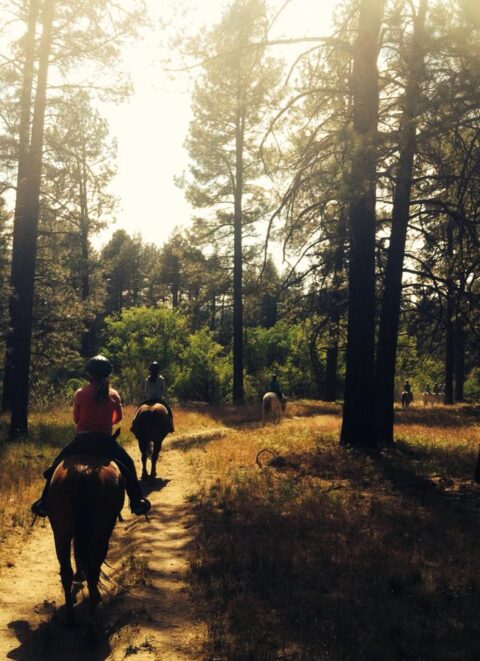 Summer Camp | Pathfinder Ranch